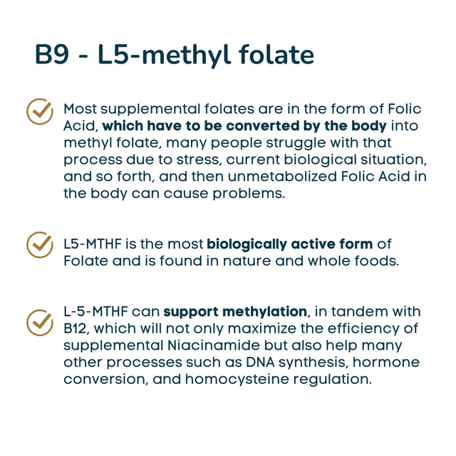 Energi+ – LifeBlud