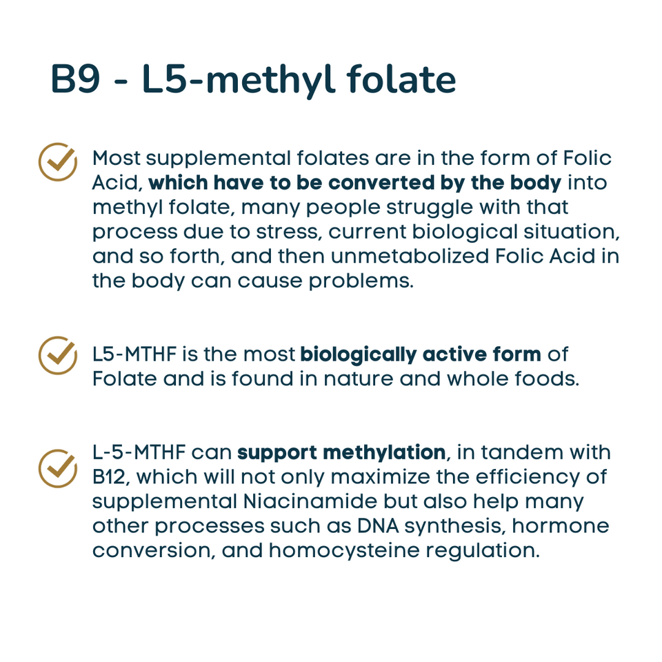 Energi+ – LifeBlud